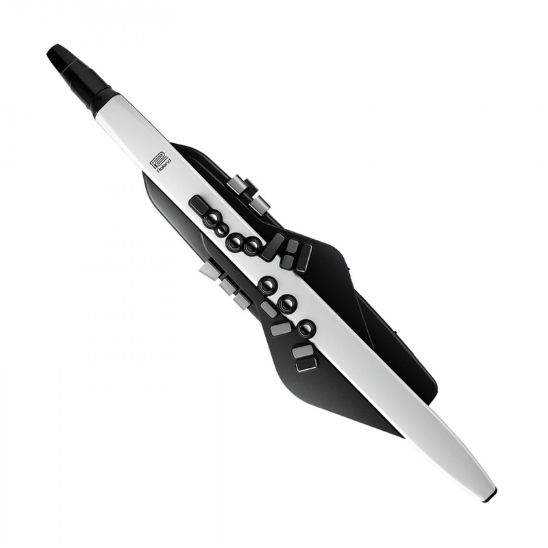 AEROPHONE ROLAND AE-20 - Produtos ROLAND ao melhor preço só na Loja ...